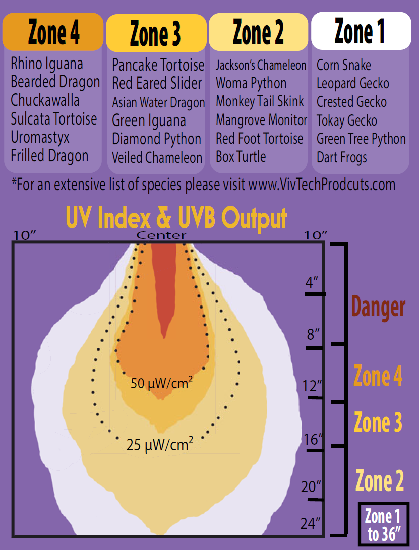VivTech Mid Day Blaze 3w - Predator and Prey Exotics
